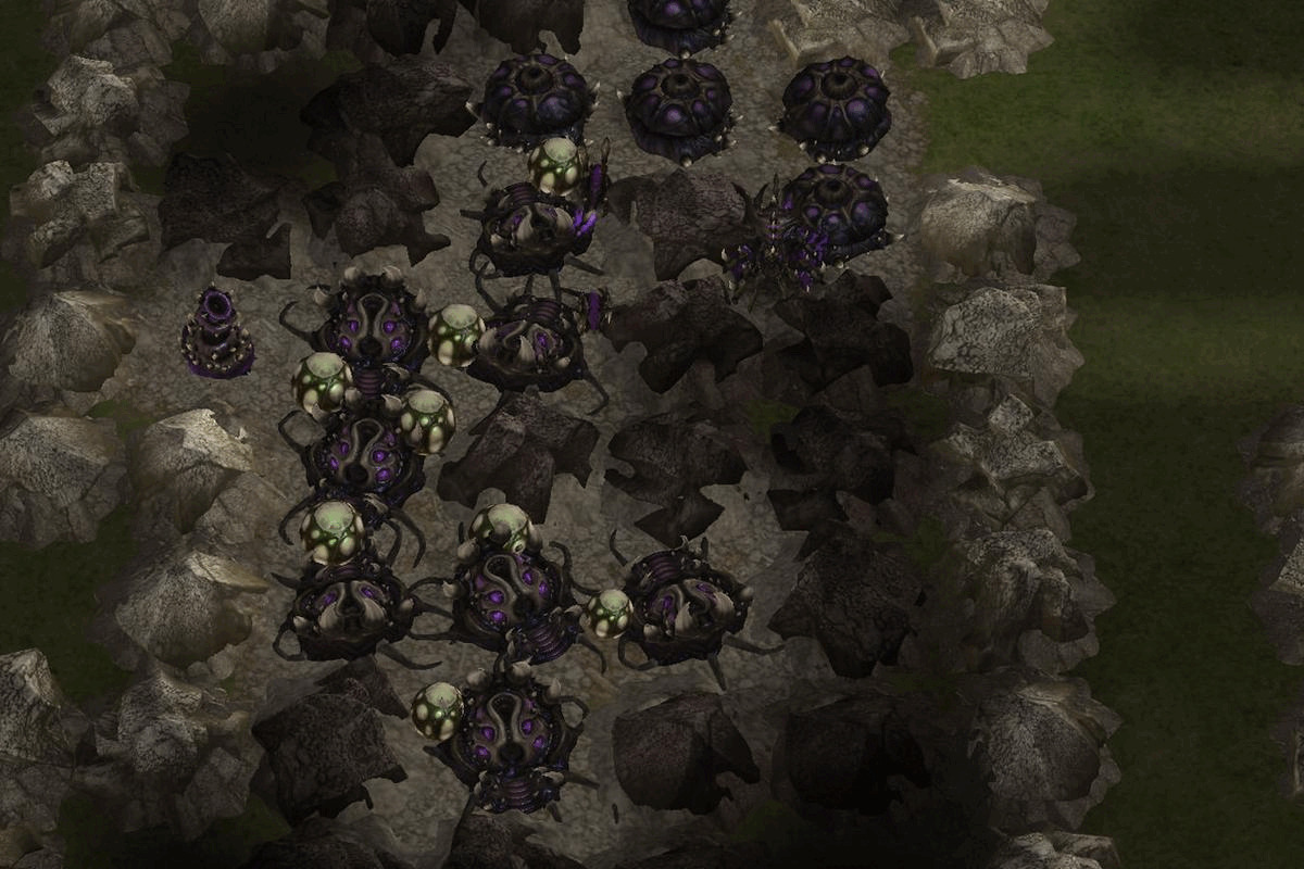 Ant War Game